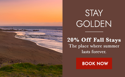 Moonstone Beach Hotels In Cambria CA | All-New Fireside Inn