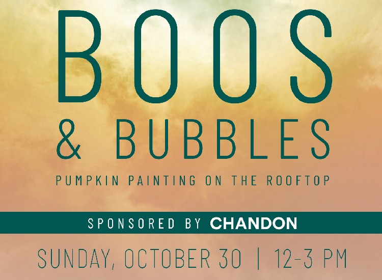 Restaurants Downtown Charlotte NC | Aura Rooftop Bar