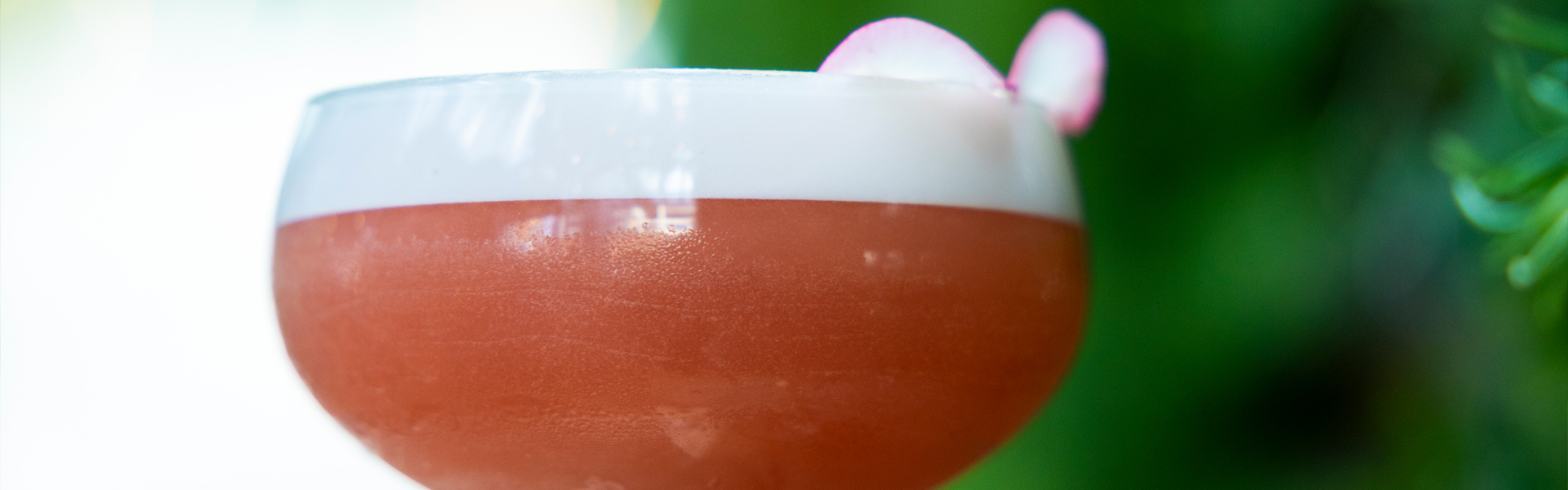 Restaurants Downtown Charlotte NC | Aura Rooftop Bar