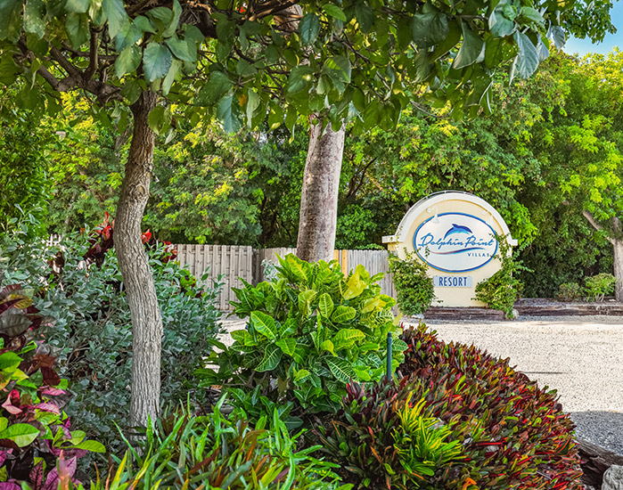 Key Largo Resorts | Official Website | Dolphin Point Villas