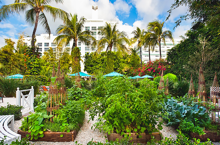 Restaurants on Collins Ave | Official Website | Essensia