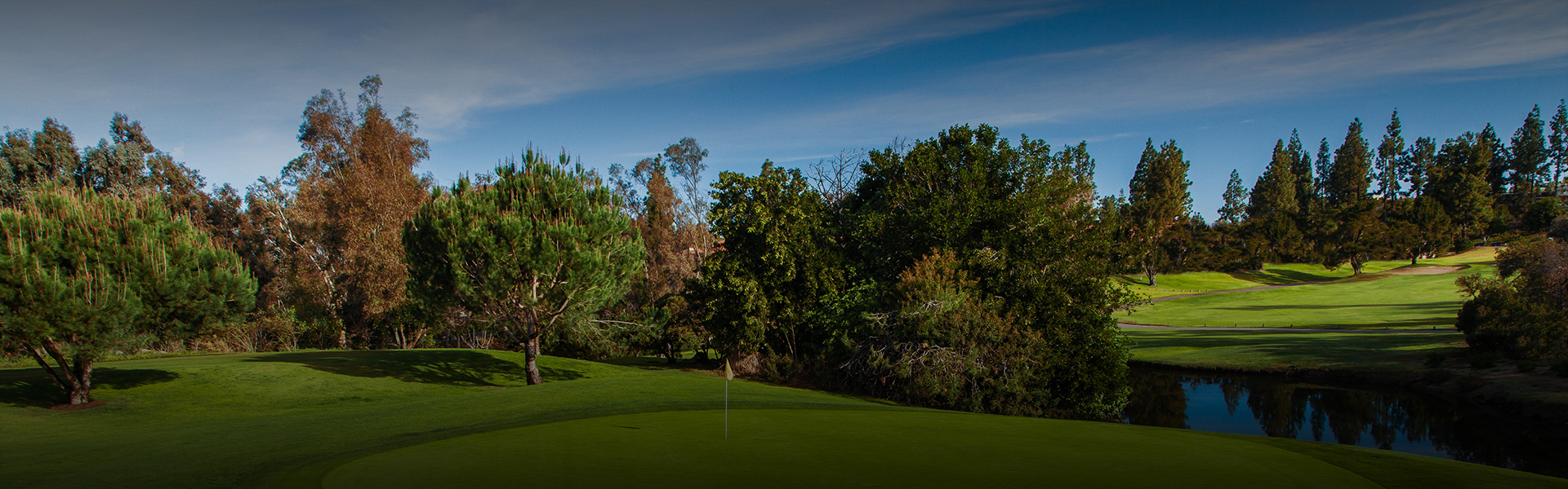 JC Players Card Terms & Conditions | JC Golf