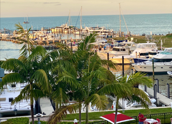 Marathon Fl Hotel Deals | Package Preview | Marlin Bay Resort & Marina