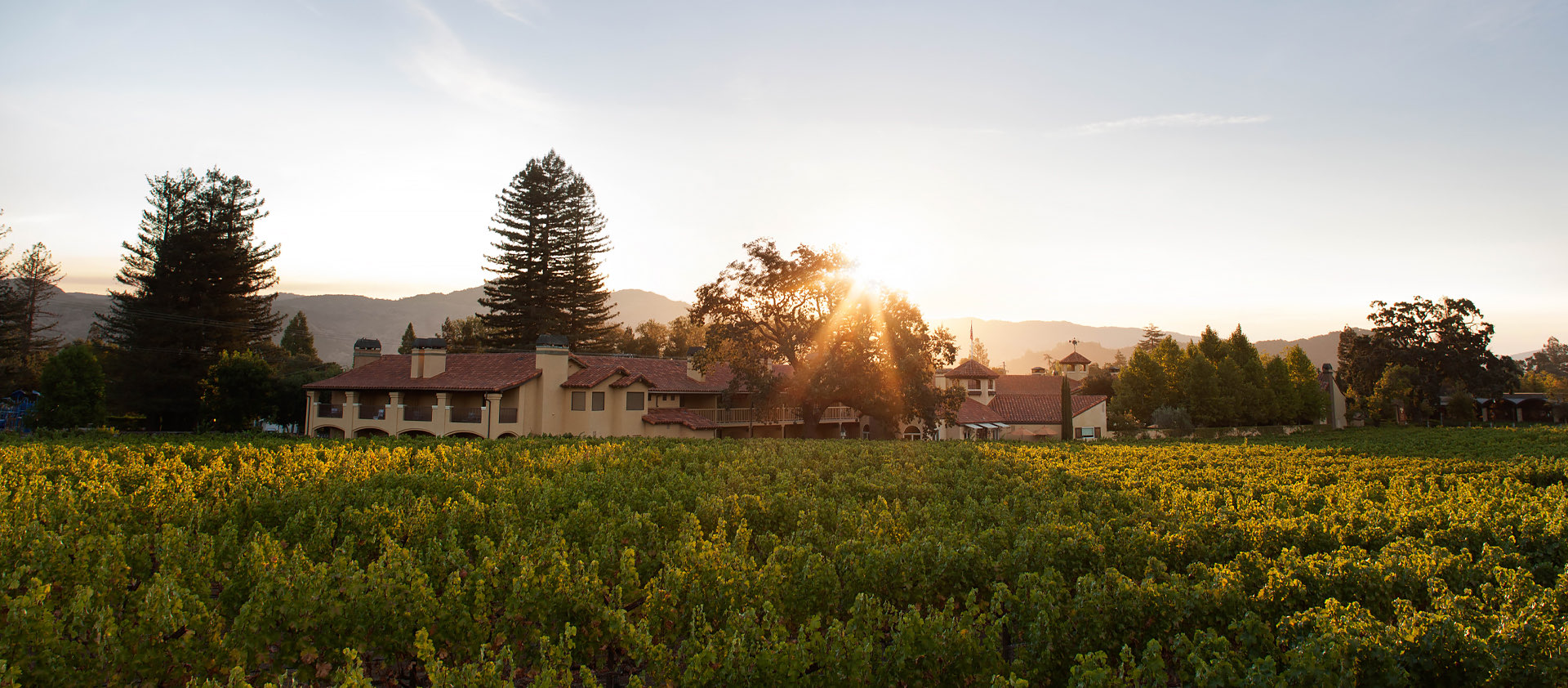 Napa Valley Hotel Deals | Offers | Napa Valley Lodge