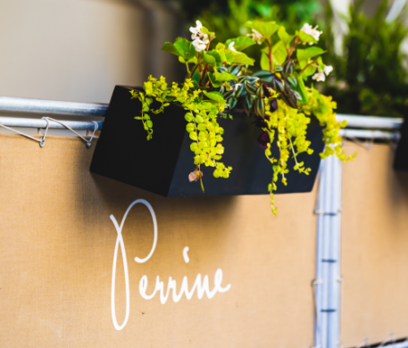 Central Park Restaurants | Official Website | Perrine NYC