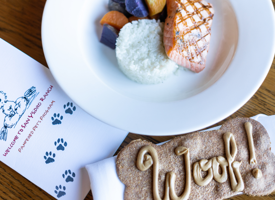 Montecito Hotels | The Ranch | San Ysidro Ranch