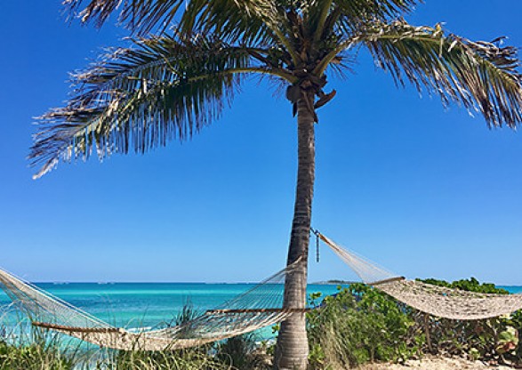 Sandyport Beach Resort Specials | Nassau Bahamas Resorts