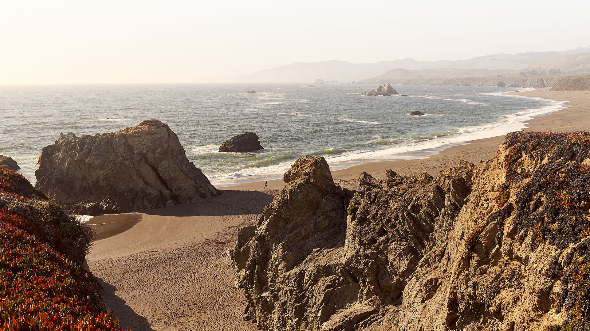 Bodega Head | The Lodge at Bodega Bay