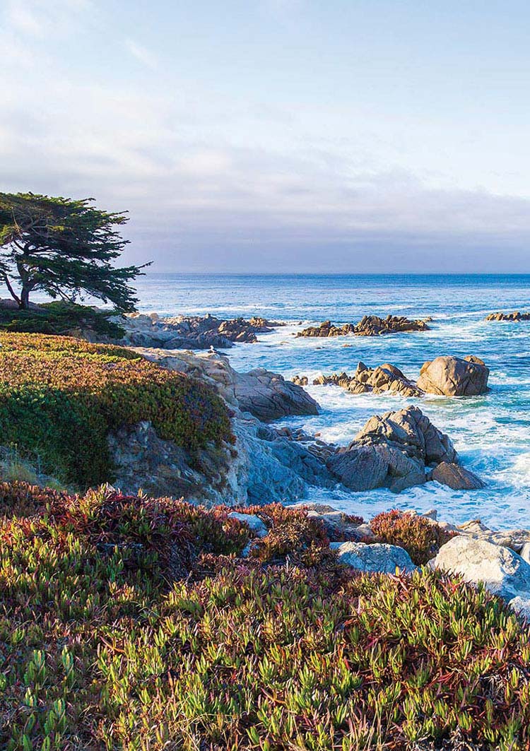 Official Website | Woodside Hospitality Group